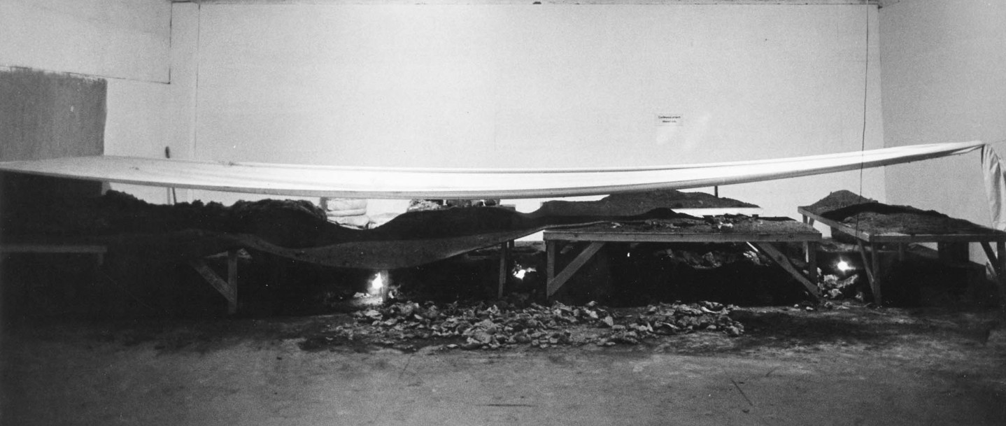 Robert Morris - Continuous Project Altered Daily - Exhibitions - Castelli Gallery