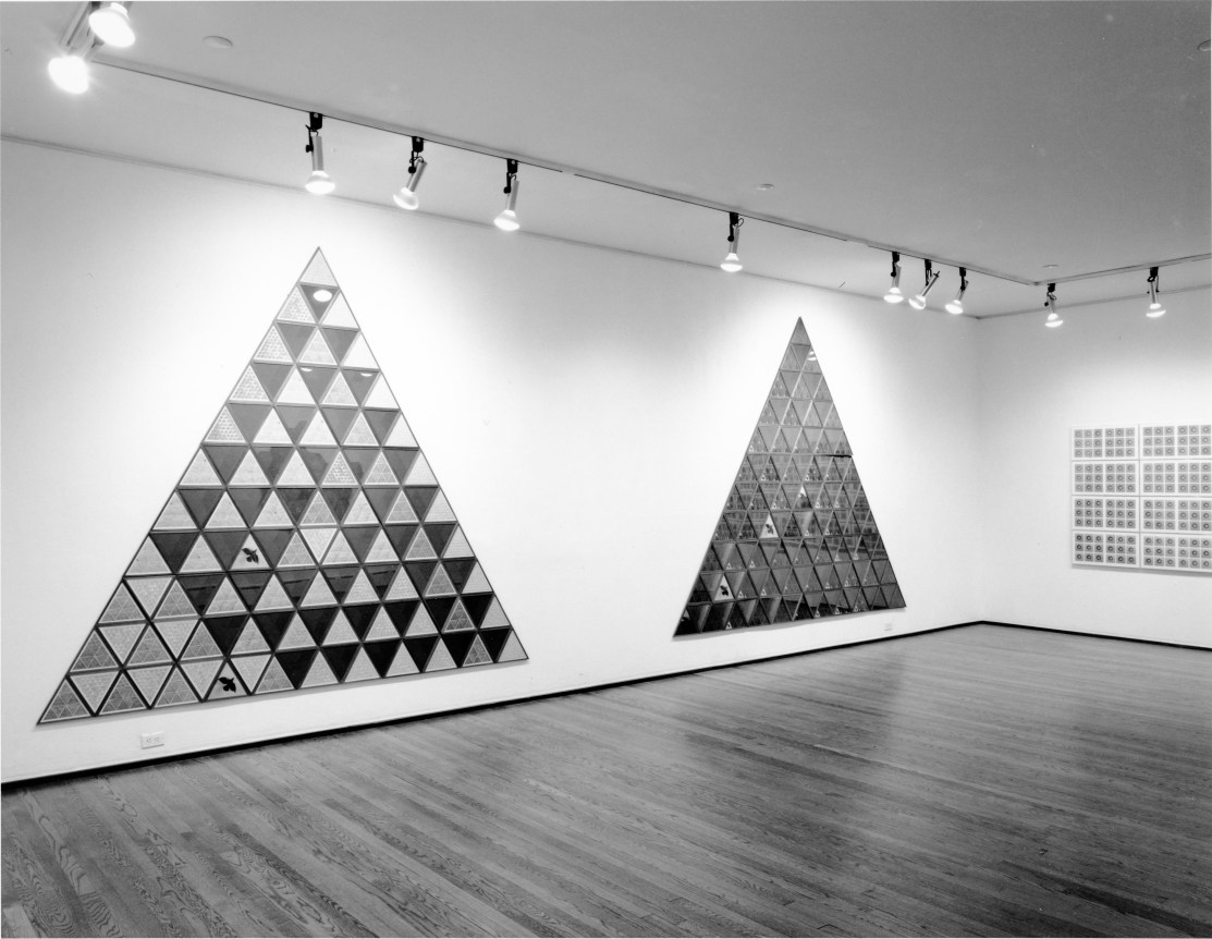 Laura Grisi - The Mirrored Series - Exhibitions - Castelli Gallery