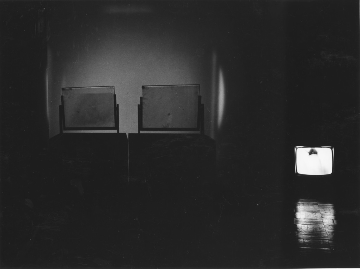 Bruce Nauman - Holograms Videotapes and Other Works - Exhibitions ...
