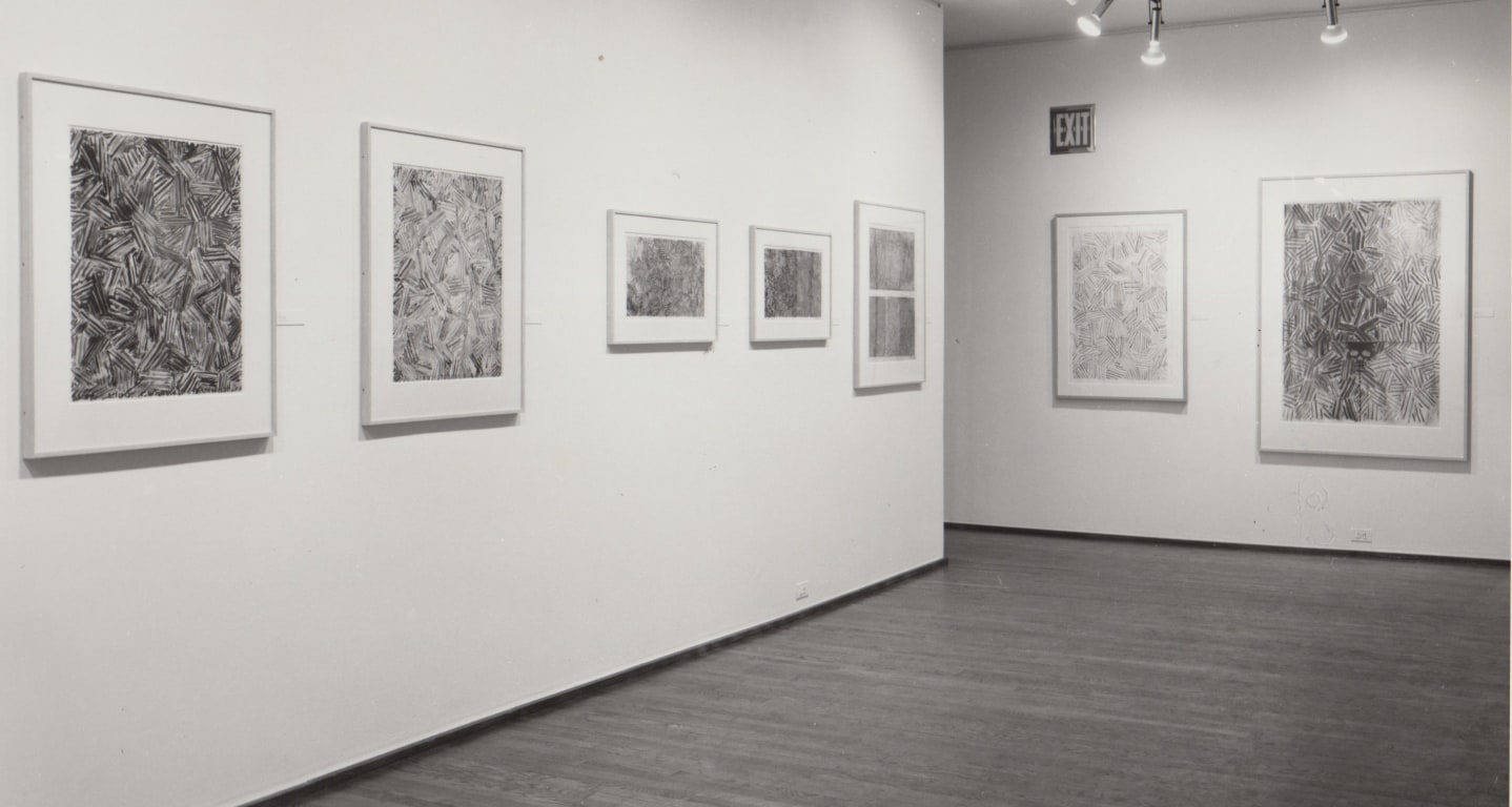 Jasper Johns - Drawings 1970 – 1980 - Exhibitions - Castelli Gallery