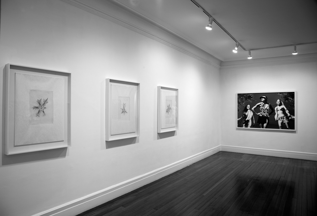 Summer Group Show - Shoja Azari and Shahram Karimi, Diana Kingsley ...