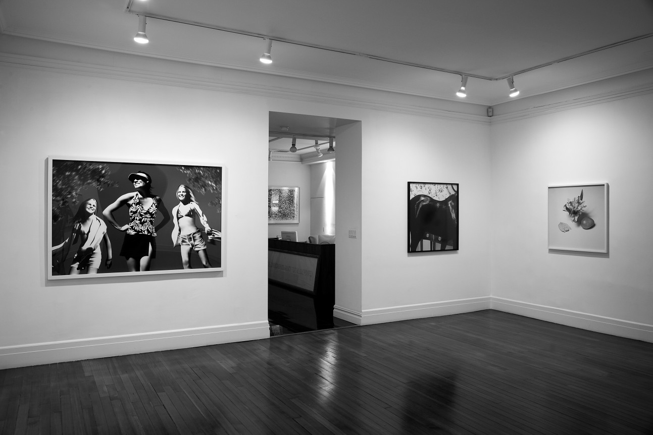 Summer Group Show - Shoja Azari and Shahram Karimi, Diana Kingsley ...