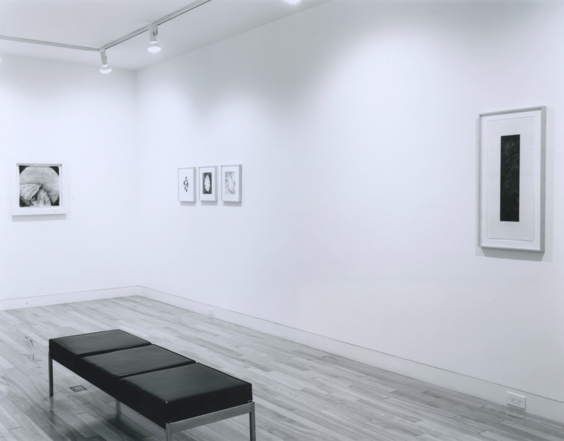 Recent Works on Paper - Jeff Colson, Jasper Johns, Robert Morris, Ed ...