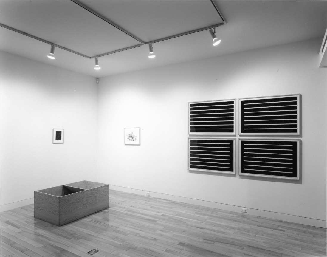 Donald Judd and Dan Flavin - - Exhibitions - Castelli Gallery