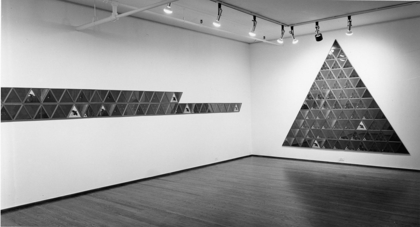 Laura Grisi - - Exhibitions - Castelli Gallery