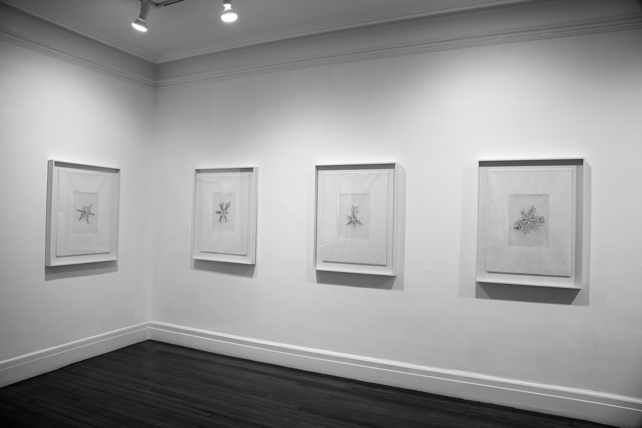 Summer Group Show - Shoja Azari and Shahram Karimi, Diana Kingsley ...