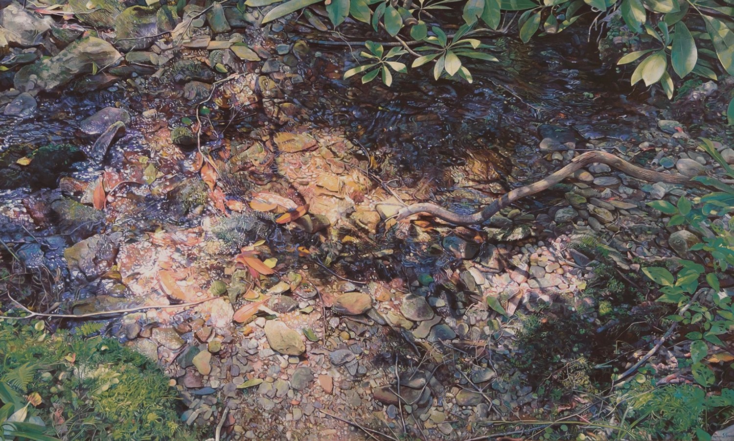 Ronna S. Harris - PAINTINGS - Callan Fine Art