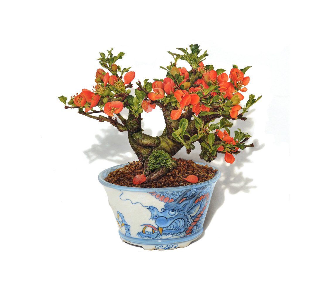 DAVID MORRISON - ARTISTS - Garvey|Simon