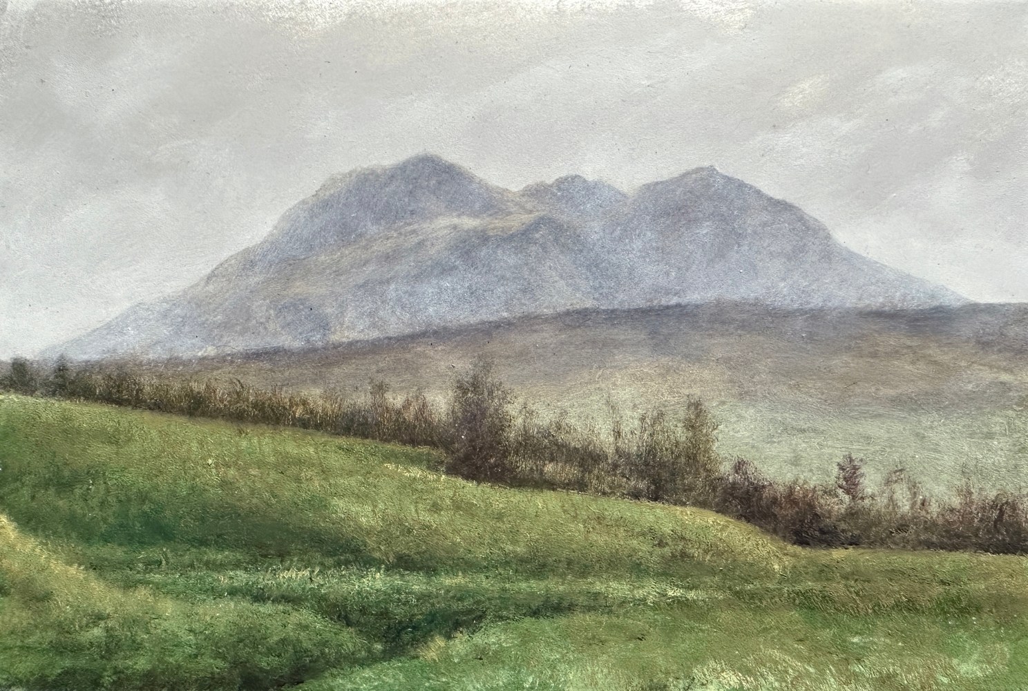 LISA LEBOFSKY - ARTISTS - Garvey|Simon