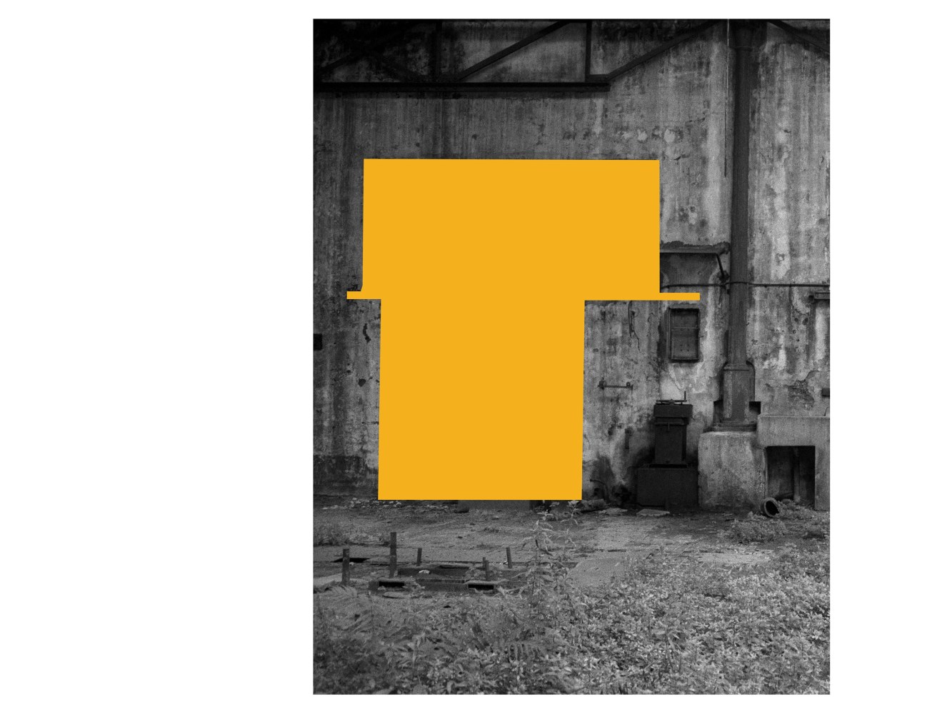 VIVIANA ZARGÓN - Artists - Artemisa