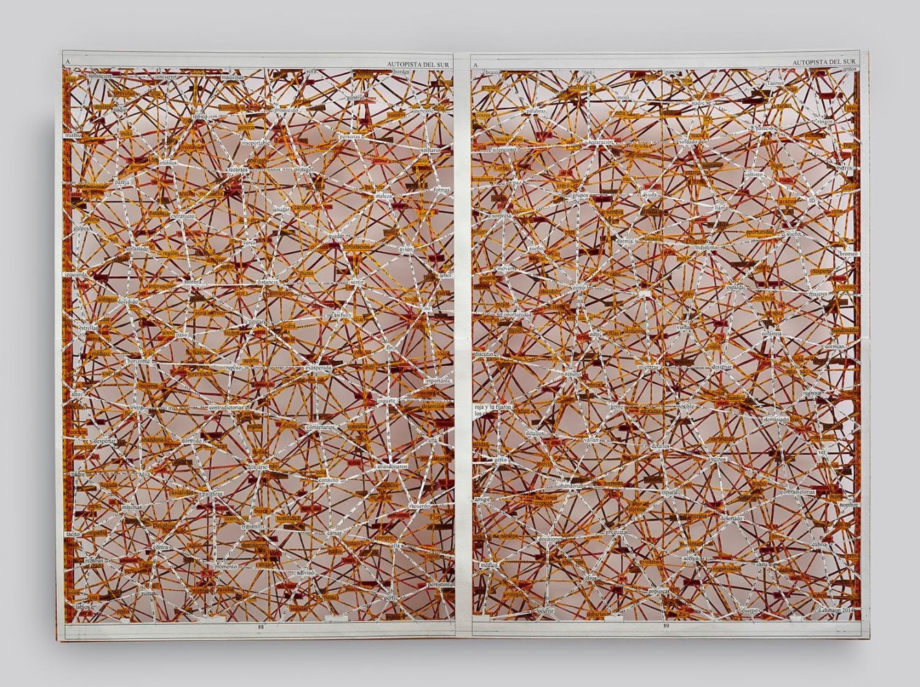 PABLO LEHMANN - Artists - Artemisa