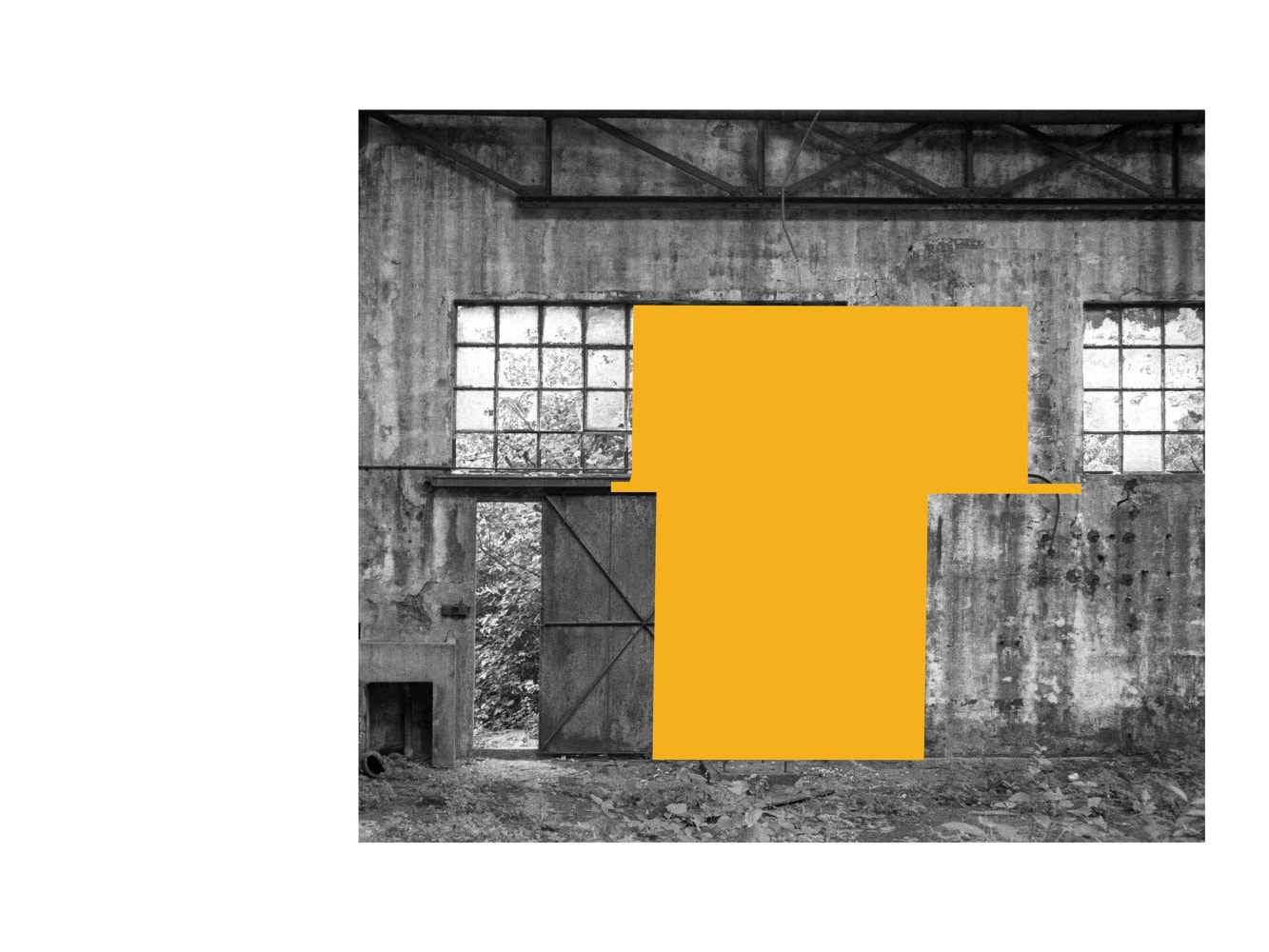 VIVIANA ZARGÓN - Artists - Artemisa