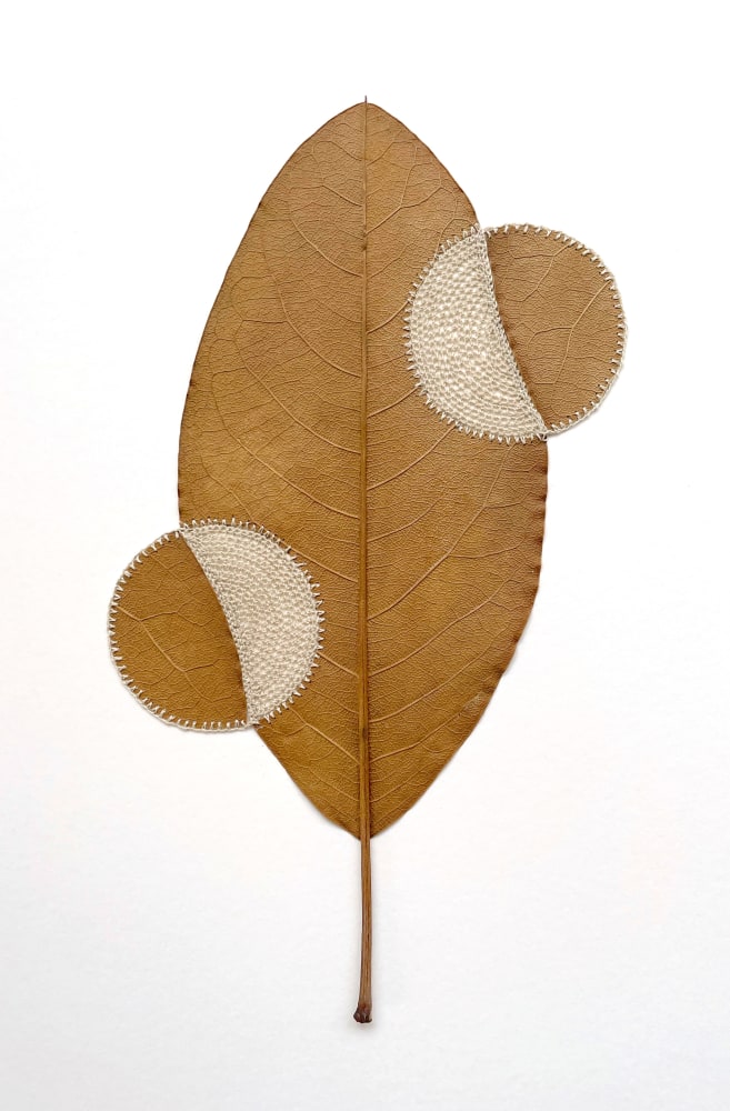 SUSANNA BAUER - Artists - Muriel Guepin Gallery