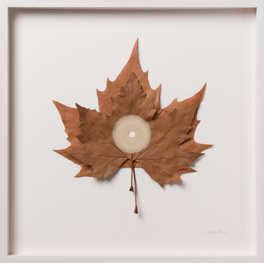 SUSANNA BAUER - Artists - Muriel Guepin Gallery