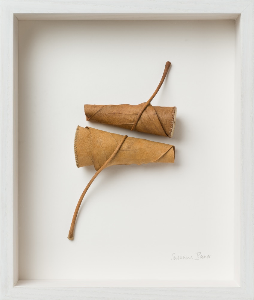 SUSANNA BAUER - Artists - Muriel Guepin Gallery