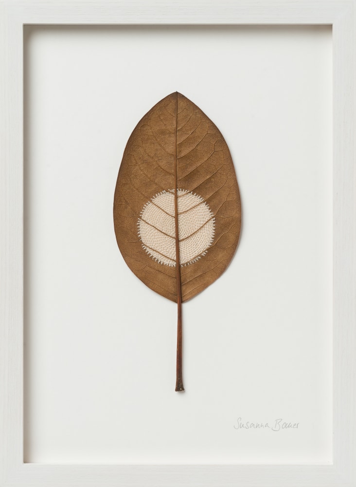 SUSANNA BAUER - Artists - Muriel Guepin Gallery