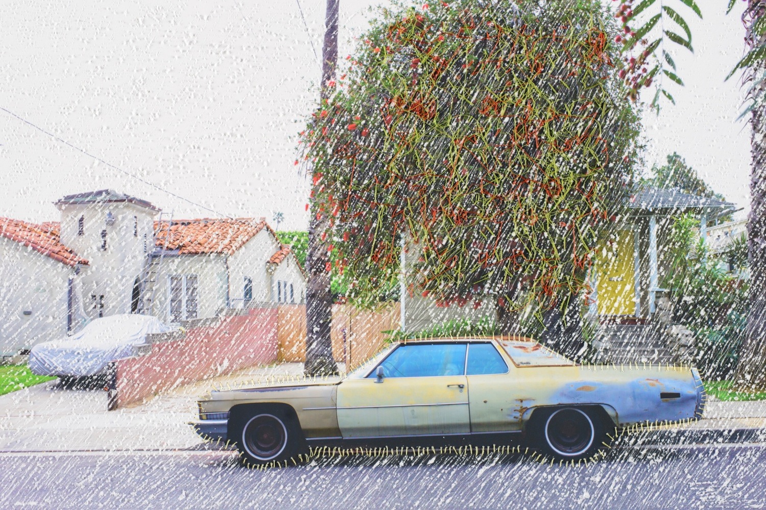 MELISSA ZEXTER - Artists - Muriel Guepin Gallery