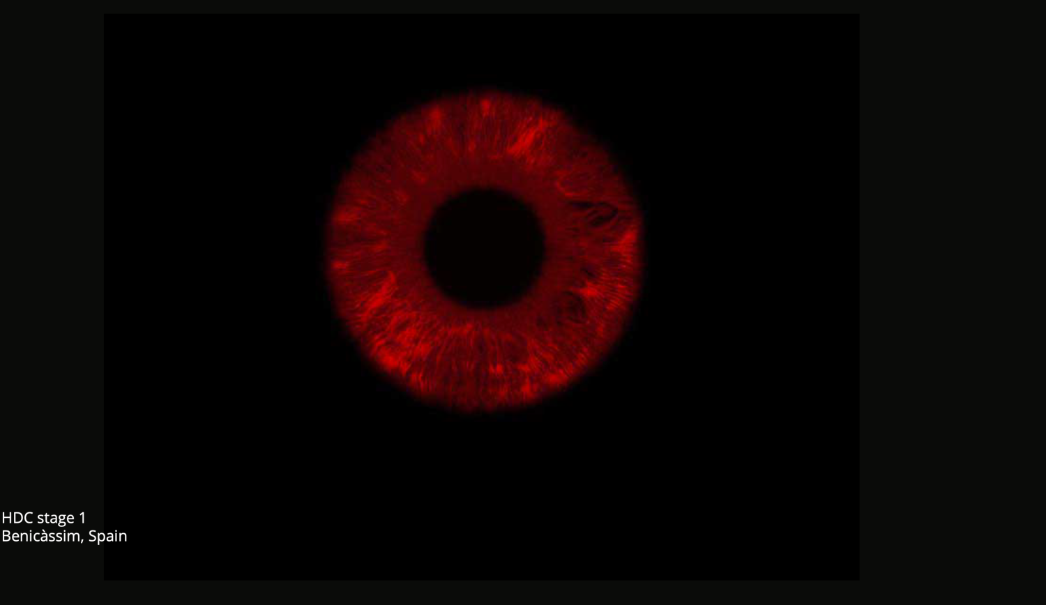 FUTURE PERFECT - Exhibitions - ROBERT BERMAN GALLERY