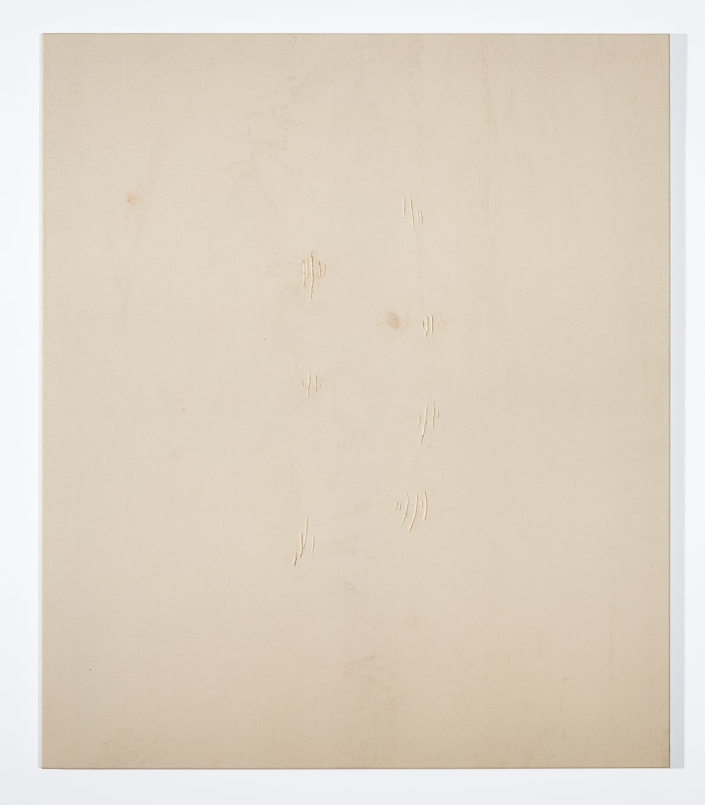 Kader Attia: Scars remind us that our past is real - Fundació Joan Miró ...