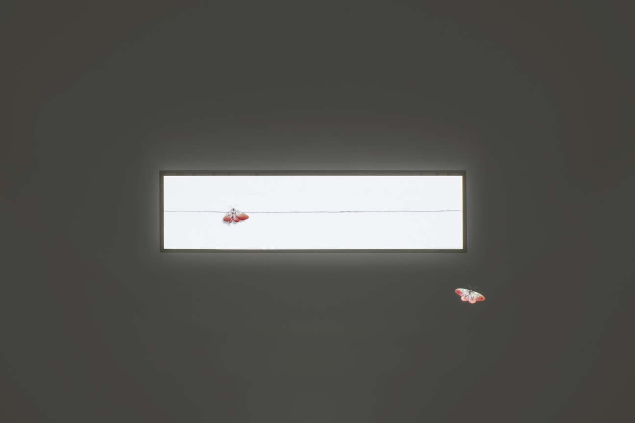 Tabaimo - Clue to Utsushi - Exhibitions - James Cohan