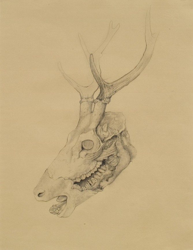 ERICK SWENSON: Untitled - Photogravure print - Editions - James Cohan