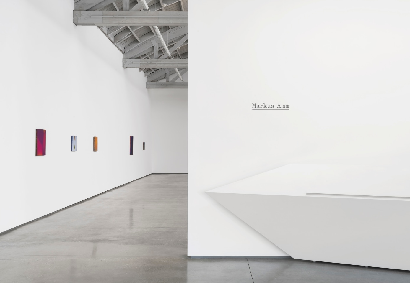 Markus Amm - - Exhibitions - David Kordansky Gallery