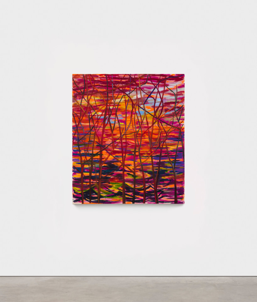 Shara Hughes - Light the Dark - Exhibitions - David Kordansky Gallery Shara Hughes - Light the Dark - Exhibitions - David Kordansky Gallery