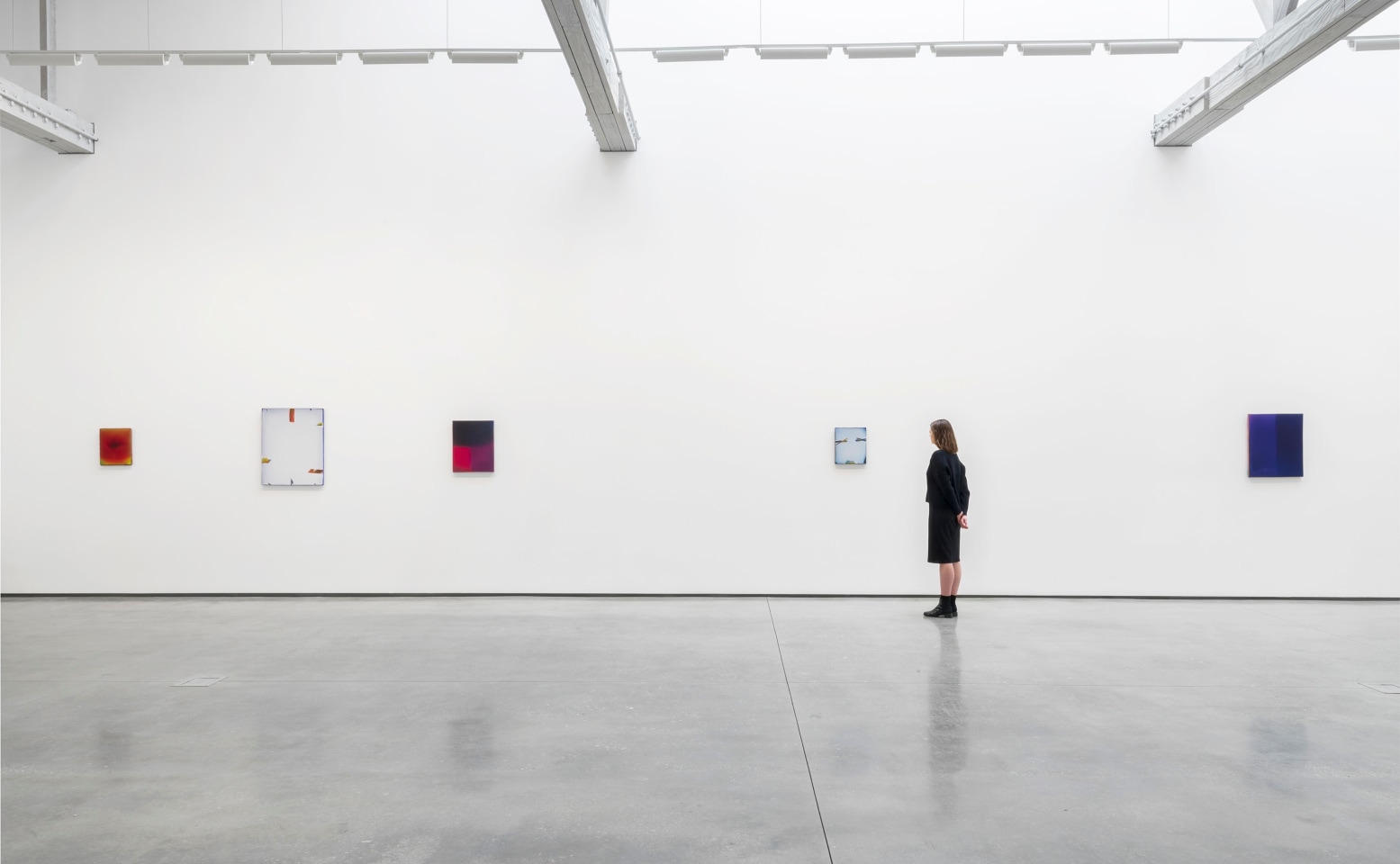 Markus Amm - - Exhibitions - David Kordansky Gallery