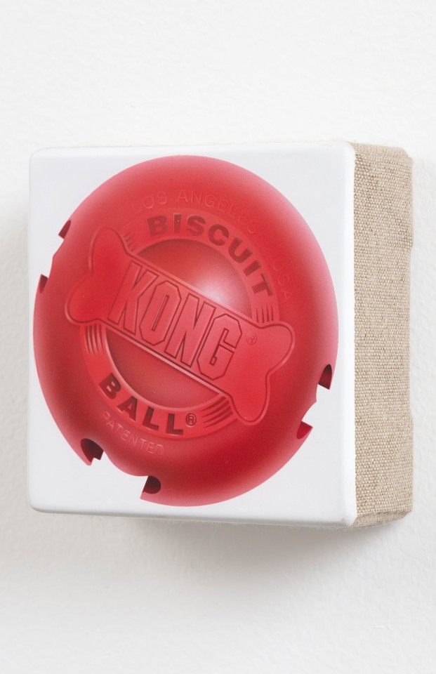 Mario Ayala - Rubber Biscuit - Exhibitions - David Kordansky Gallery