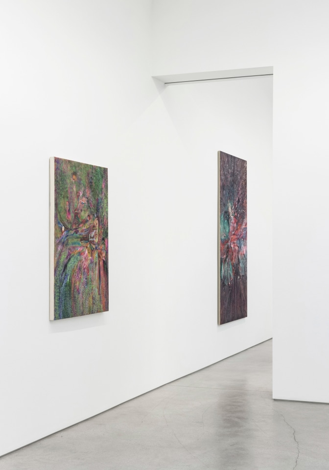 Lucy Bull - Skunk Grove - Exhibitions - David Kordansky Gallery