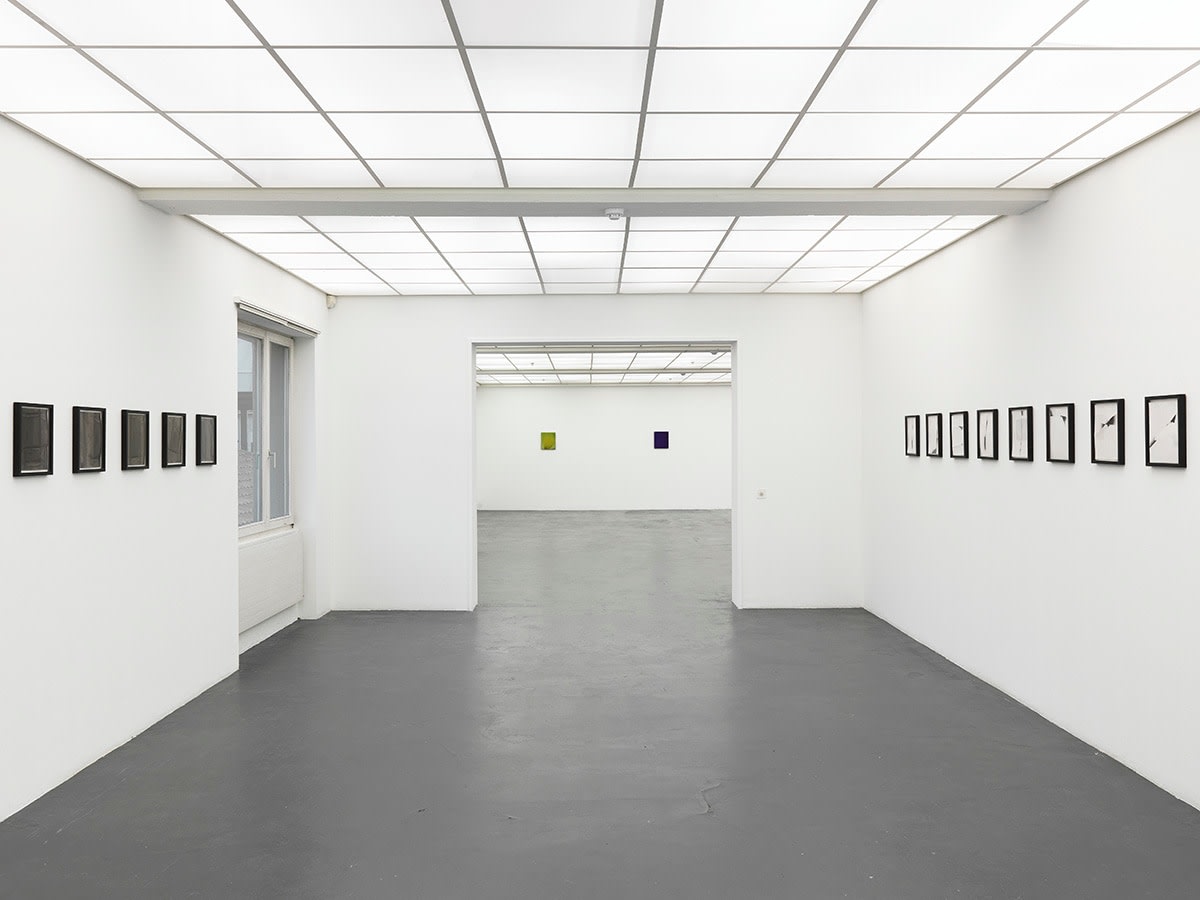 Markus Amm - - Public Exhibitions - David Kordansky Gallery