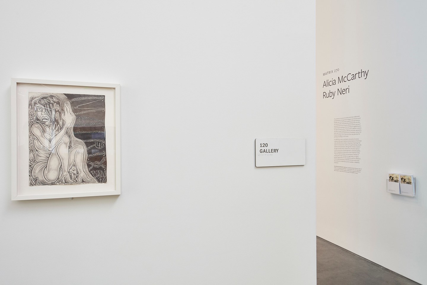 Ruby Neri - Alicia McCarthy and Ruby Neri / MATRIX 270 - Public ...