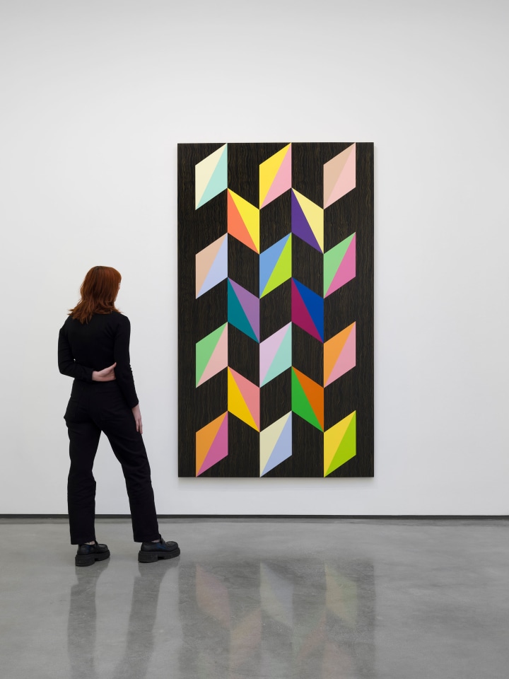 Odili Donald Odita - Degrees of Separation - Exhibitions - David ...