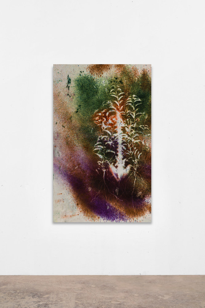 Sam Falls - - VIEWING ROOM - 303 Gallery