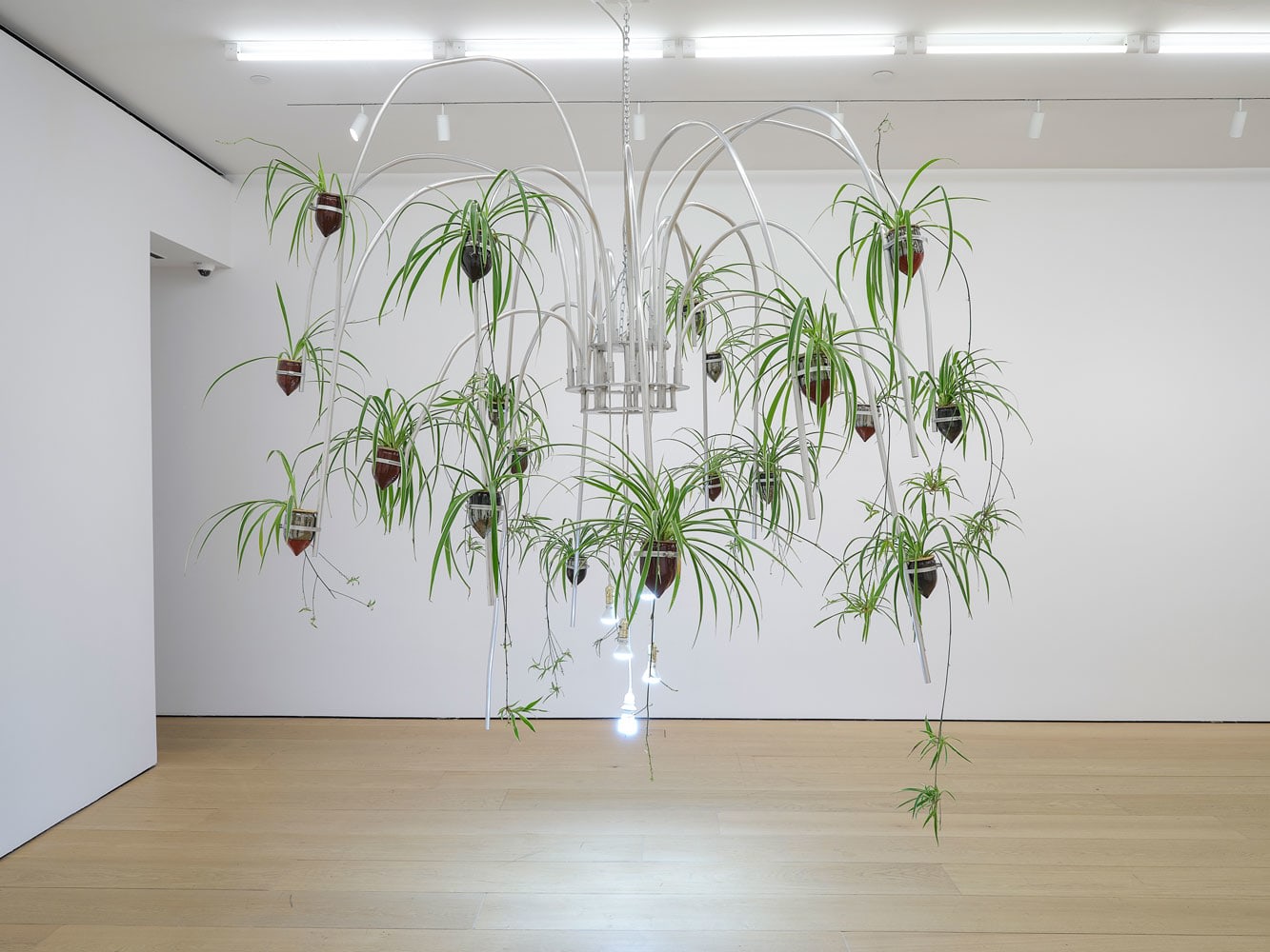 Jeffrey Meris - - Art - Lehmann Maupin