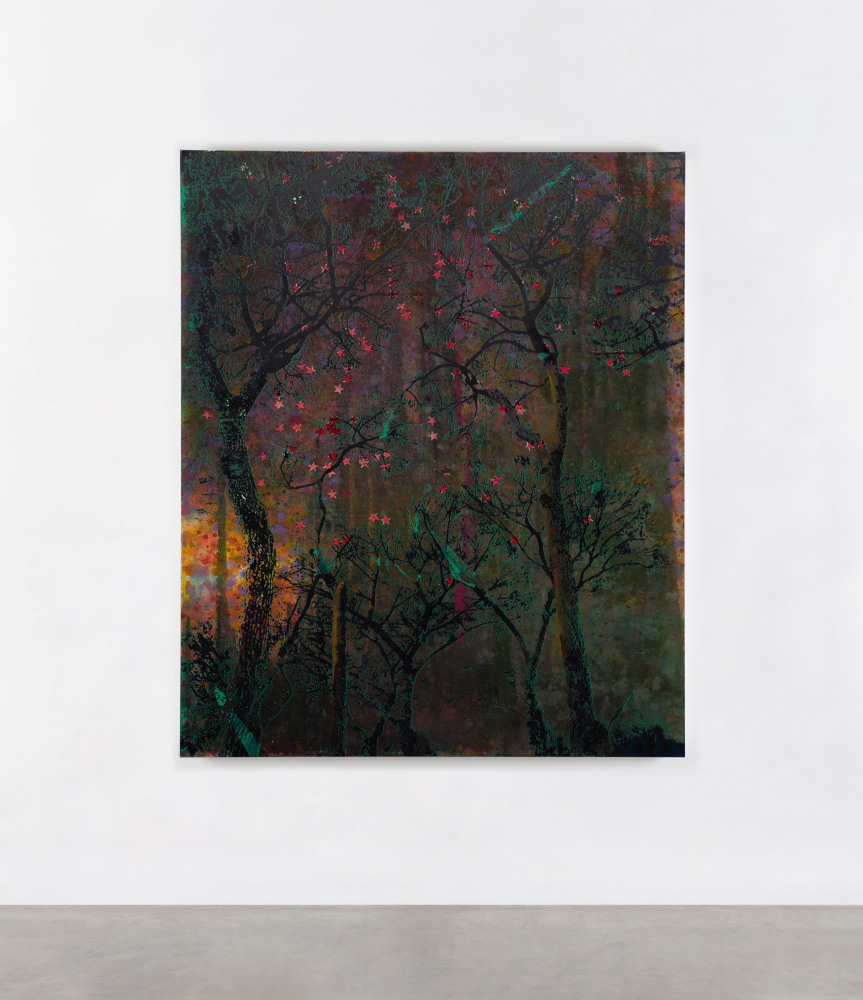 Elizabeth Magill - Artists - Kerlin Gallery