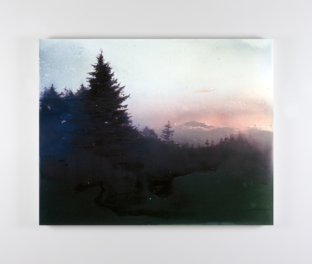 Elizabeth Magill - Artists - Kerlin Gallery