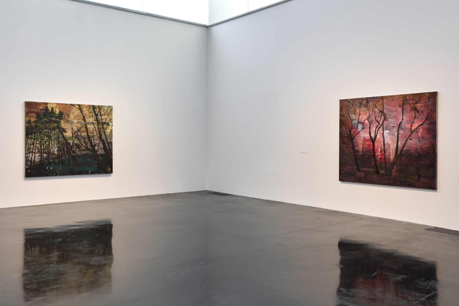 Elizabeth Magill - Artists - Kerlin Gallery