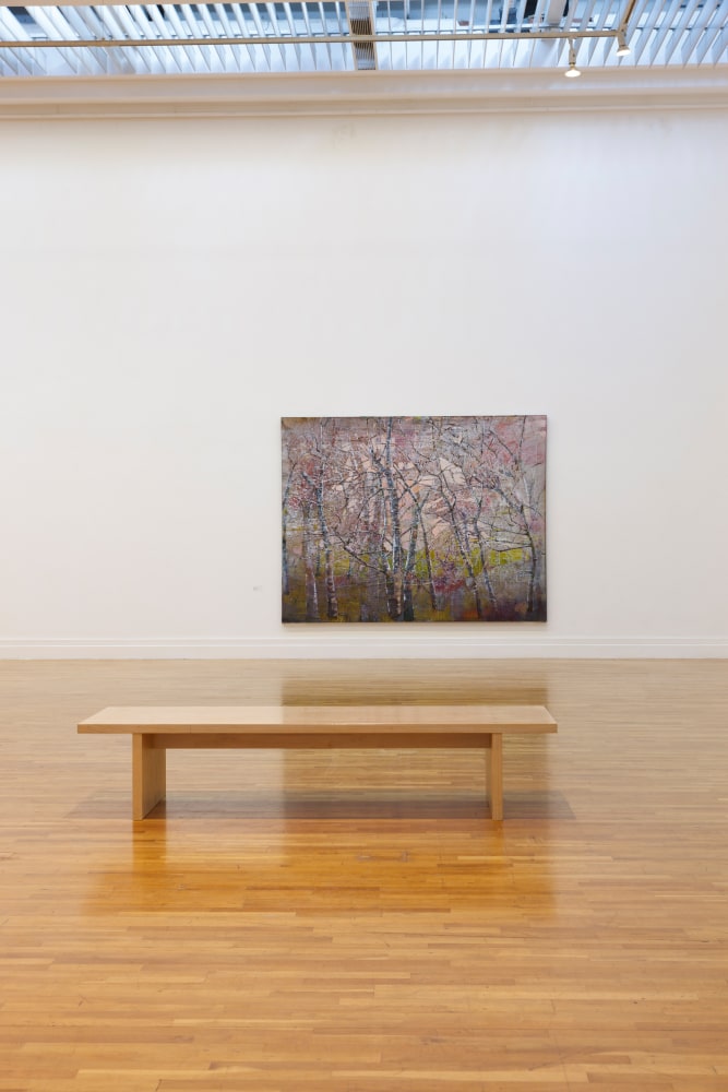 Elizabeth Magill - Artists - Kerlin Gallery