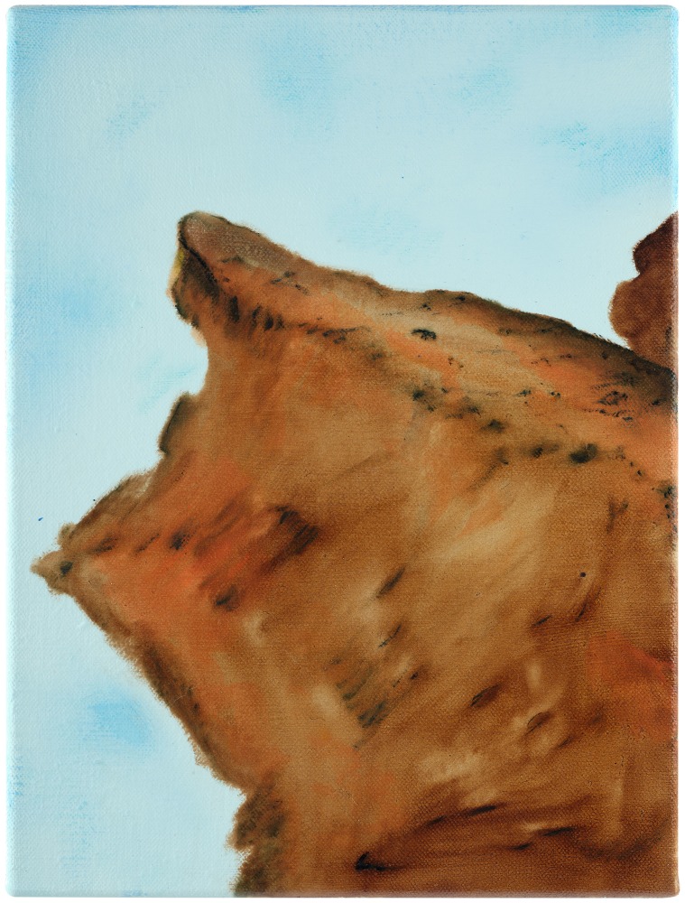 Caragh Thuring - - Exhibitions - Anthony Meier