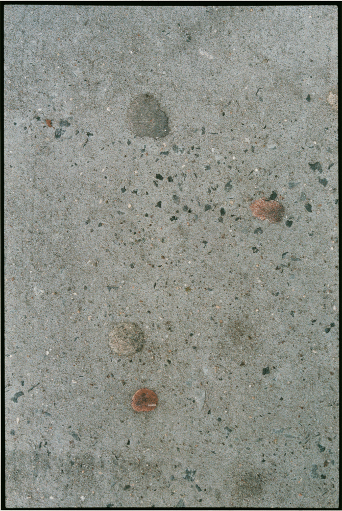 Homage to a Circle: Tammy Rae Carland, Marsha Cottrell, Zoe Leonard ...