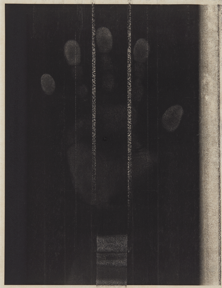 Homage to a Circle: Tammy Rae Carland, Marsha Cottrell, Zoe Leonard ...