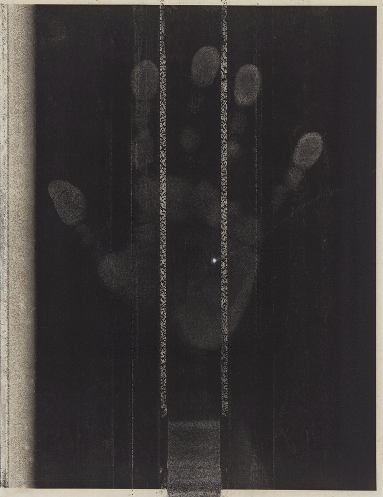 Homage to a Circle: Tammy Rae Carland, Marsha Cottrell, Zoe Leonard ...