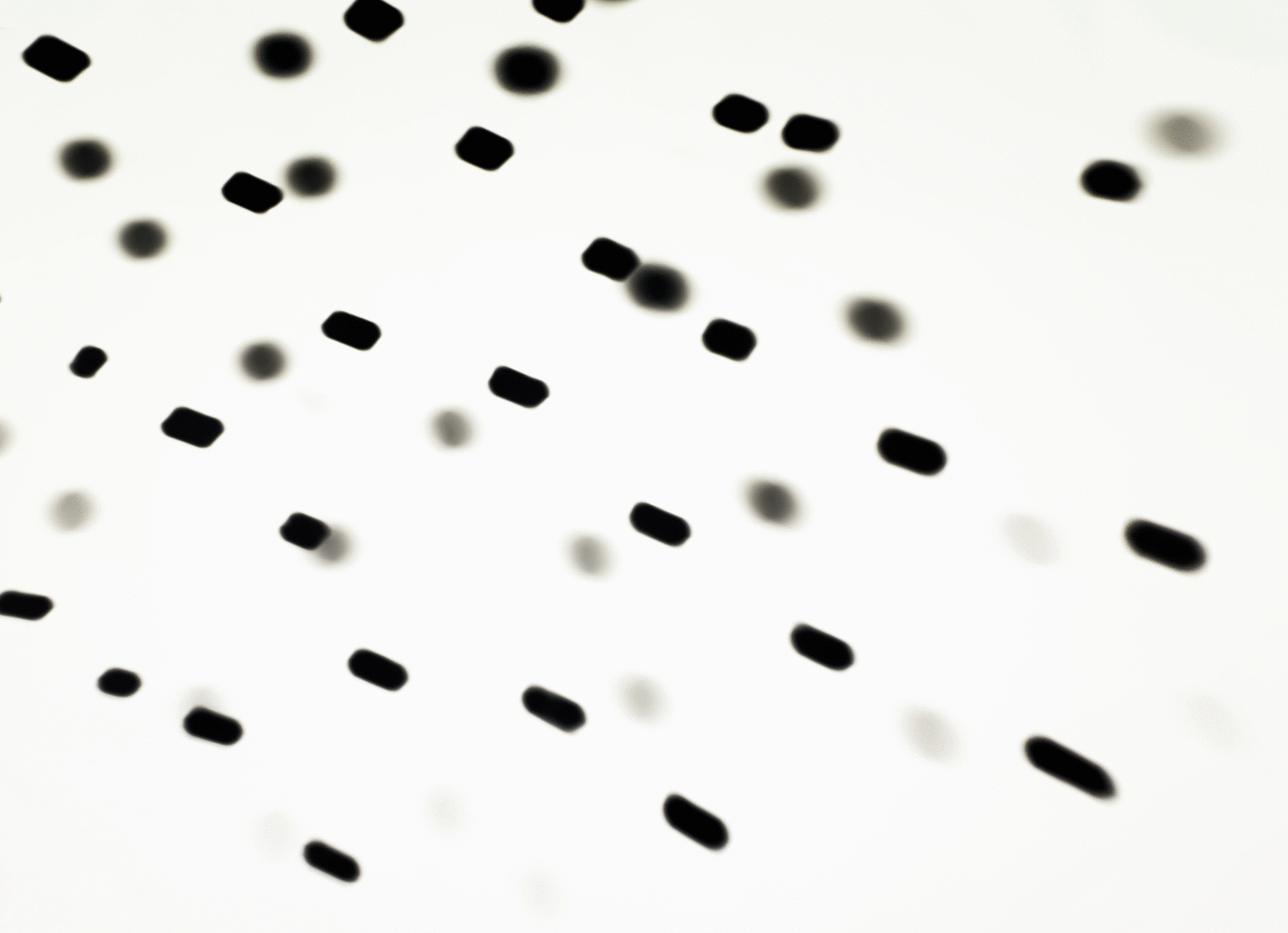 Homage to a Circle: Tammy Rae Carland, Marsha Cottrell, Zoe Leonard ...