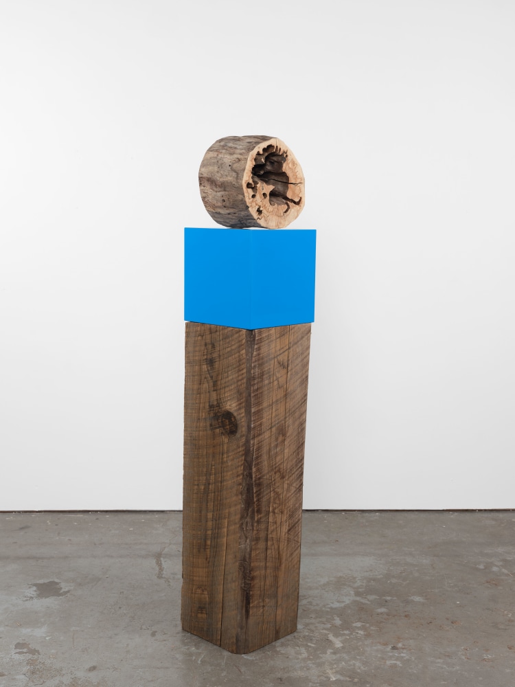 Jesse Schlesinger - Artists - Anthony Meier