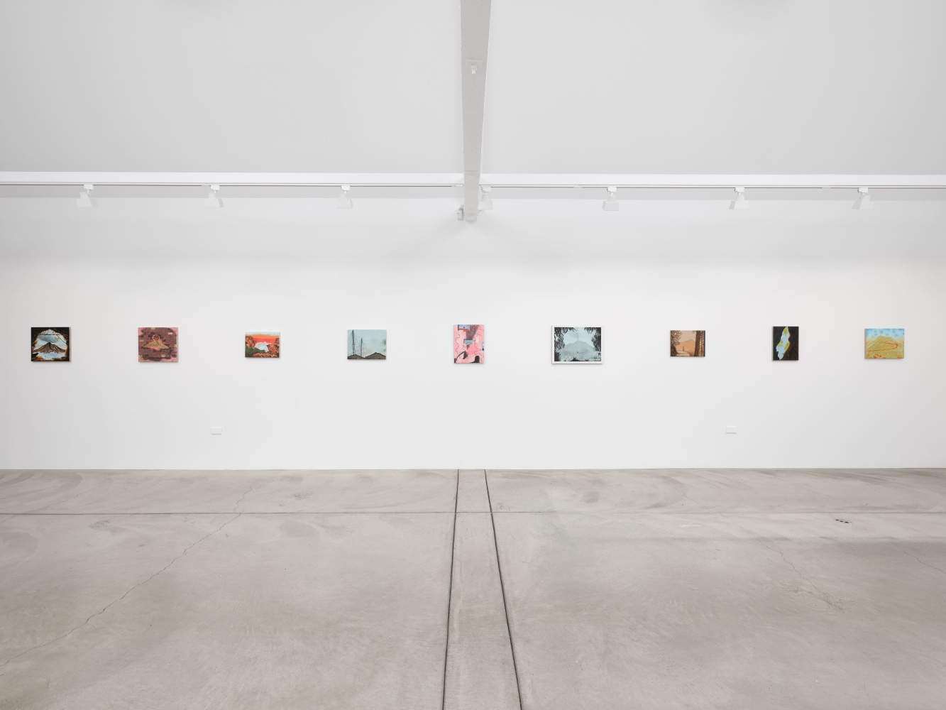 Caragh Thuring - - Exhibitions - Anthony Meier