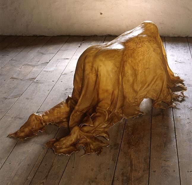 Janine Antoni - Artists - Anthony Meier