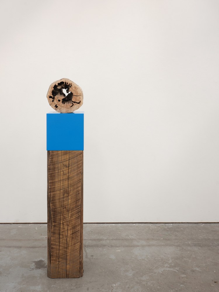 Jesse Schlesinger - Artists - Anthony Meier