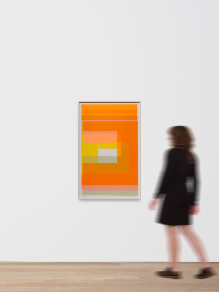 Kate Shepherd - Artists - Anthony Meier