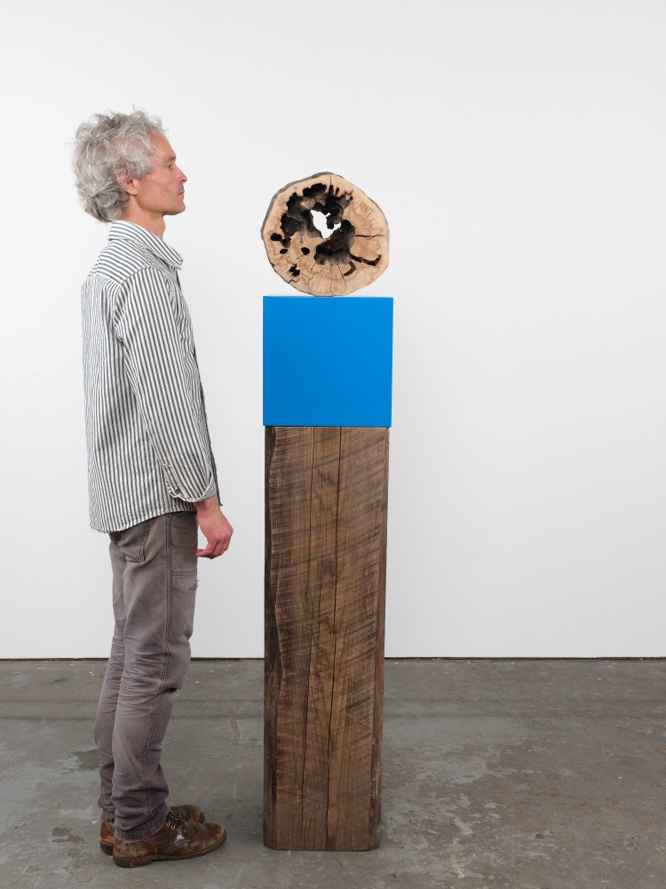 Jesse Schlesinger - Artists - Anthony Meier